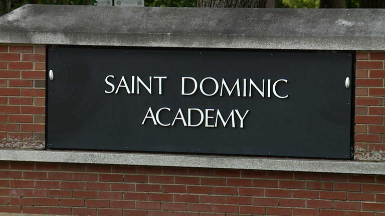 Bridge year plan offered for St. Dom’s survival