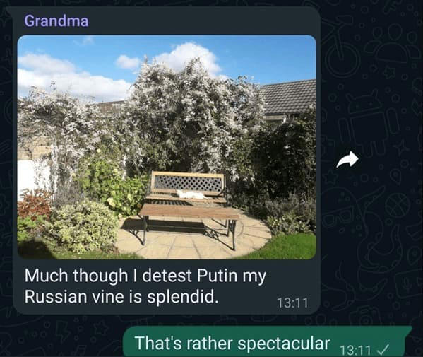 45 Hilariously Wholesome Boomer Moments That Will Warm Your Heart And ...