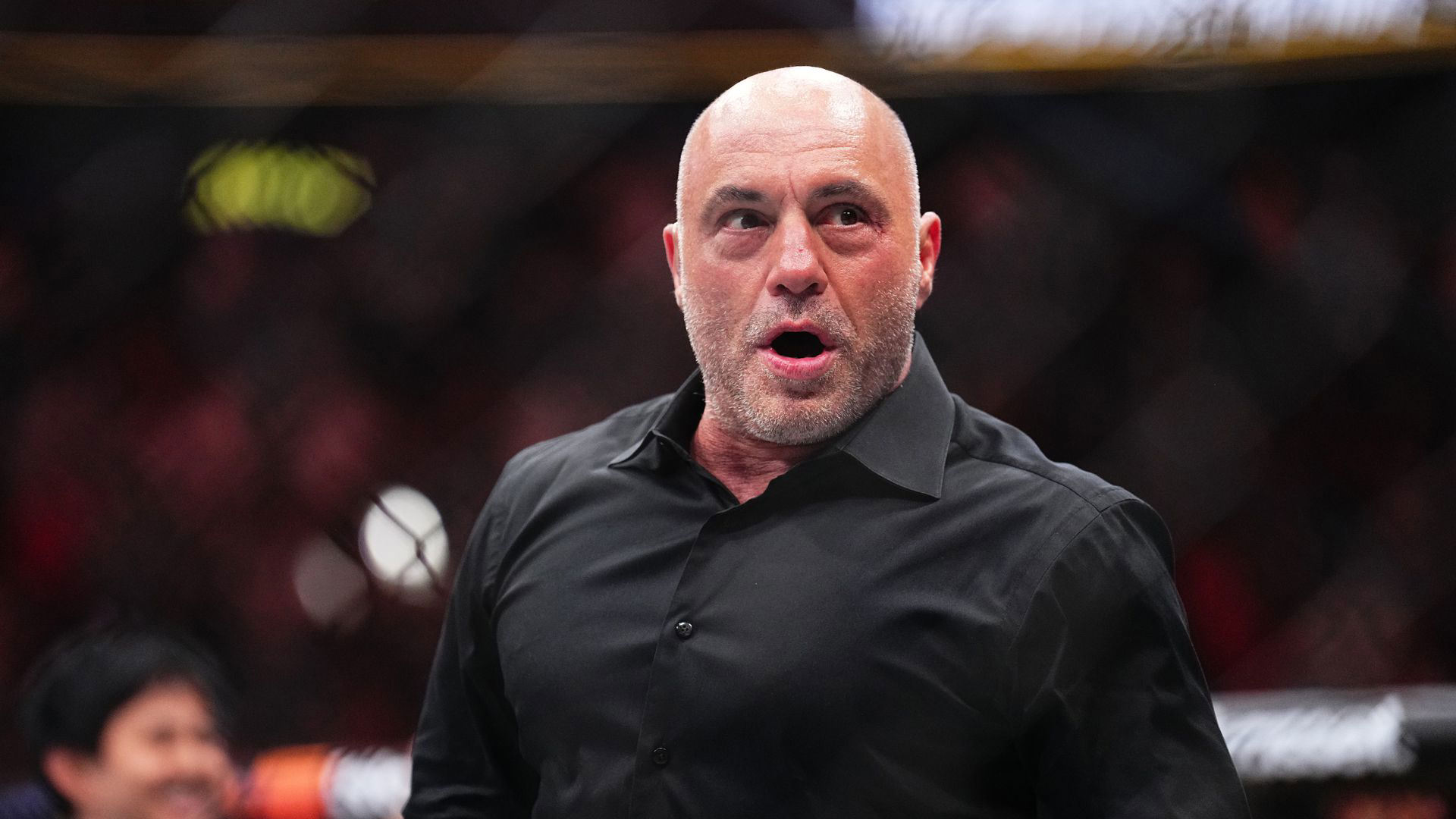 Midnight Mania: Rogan Accused Of Stealing Schaub Material Midnight Mania: Rogan Accused Of Stealing Schaub Material