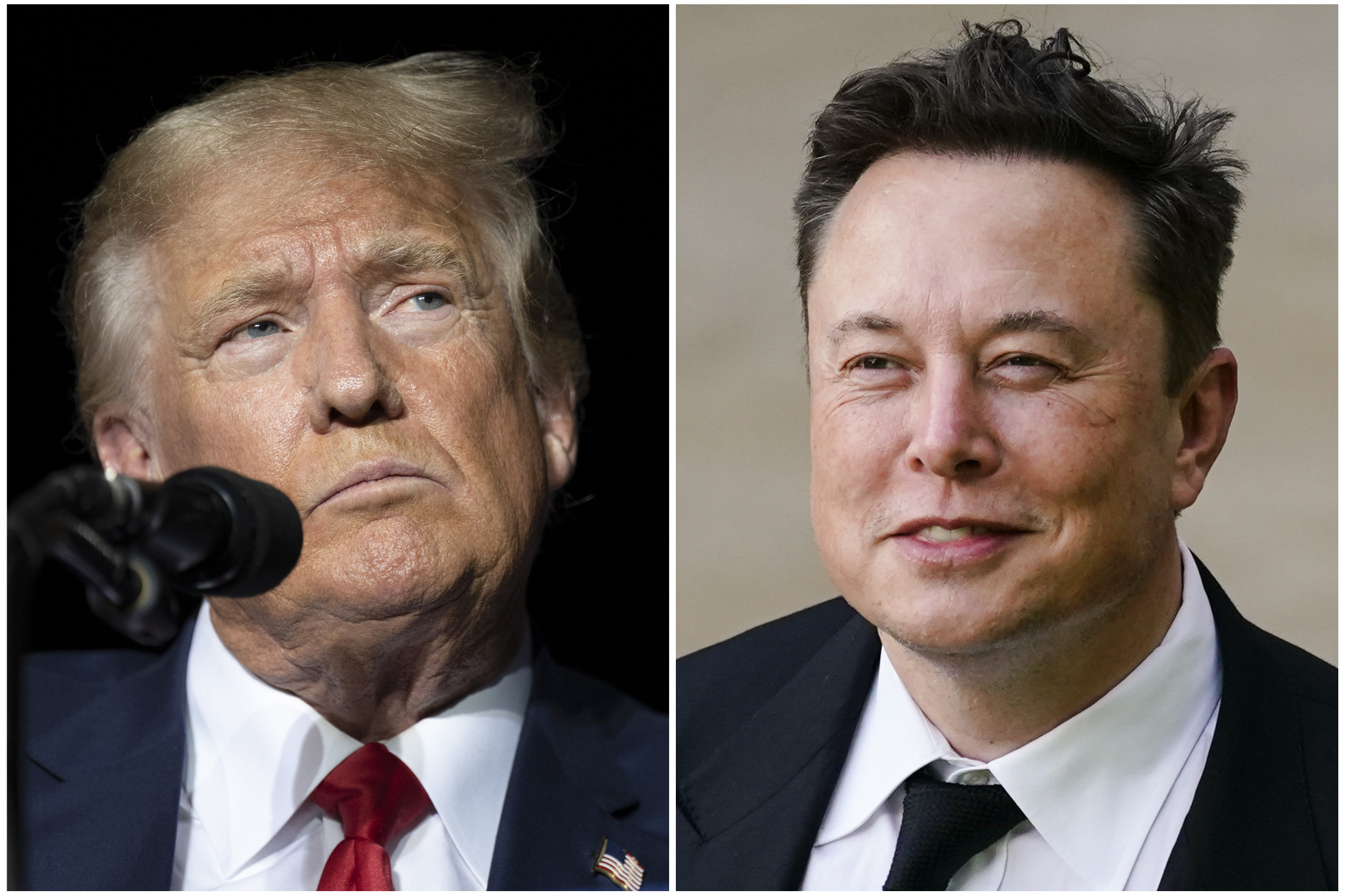 YIKES: Elon Musk Tells Laura Loomer Republicans Should Side With Him ...