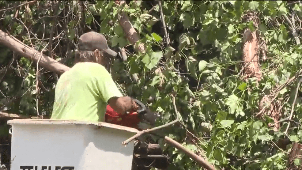 Cleanup underway around Harrisburg after Ef-1 tornado hit Dauphin County Cleanup underway around Harrisburg after Ef-1 tornado hit Dauphin County