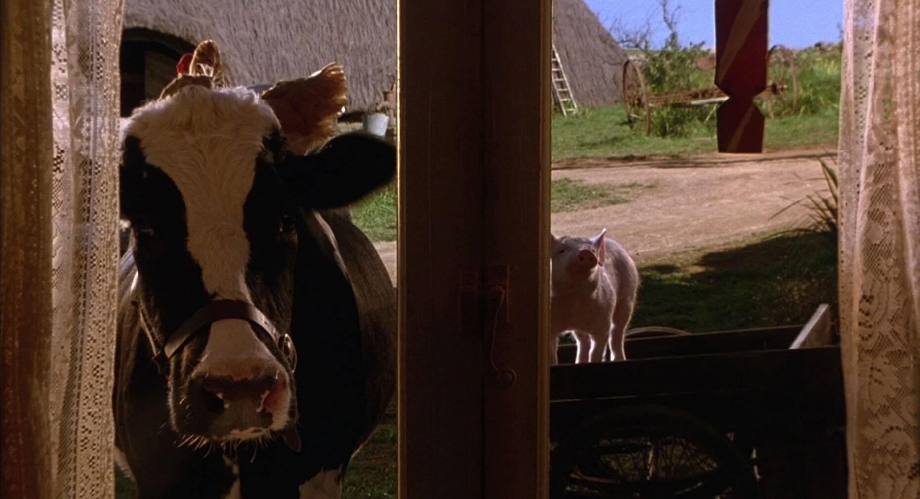 The best movies with cows!