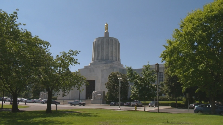 Lamar Wise appointed to Oregon House District seat following Rep. Hòa ...