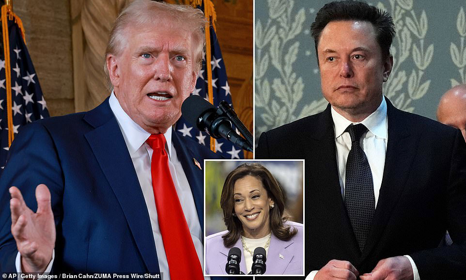 Republicans issue warning to Trump over strategy after Musk interview Republicans issue warning to Trump over strategy after Musk interview