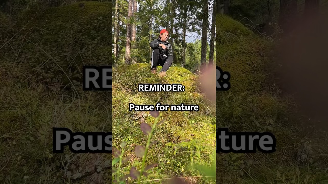 How We Reset as a Family by Pausing in Nature
