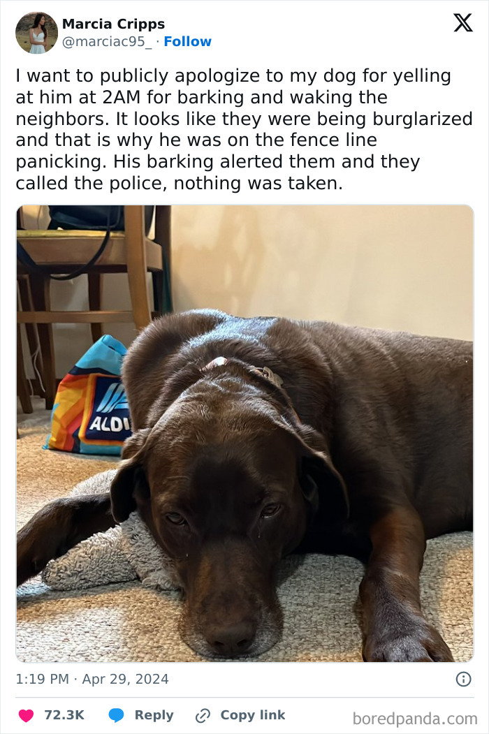 41 Of The Most Hilarious, Cute And Wholesome Posts On X About Dogs