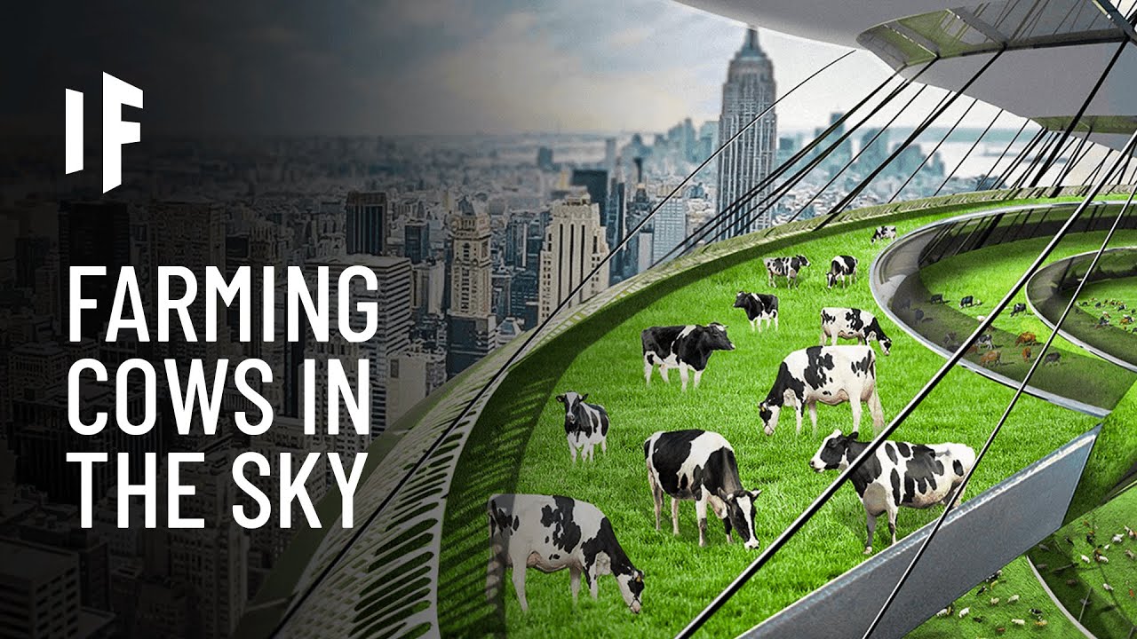 Vertical Farms: The Future of Global Hunger Solutions?