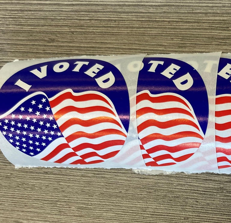 Winnebago County spring election: Races heat up for county exec, school ...