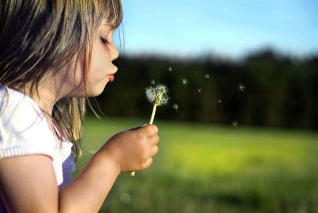 Orchid parenting: a deep dive into its meaning Orchid parenting: a deep dive into its meaning