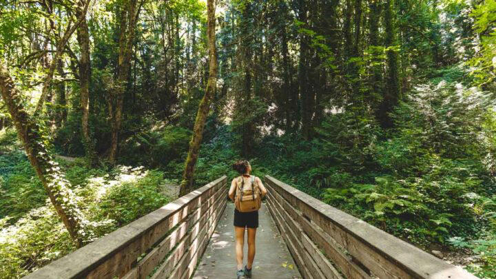 20 Parks in Portland for The Adventurous!