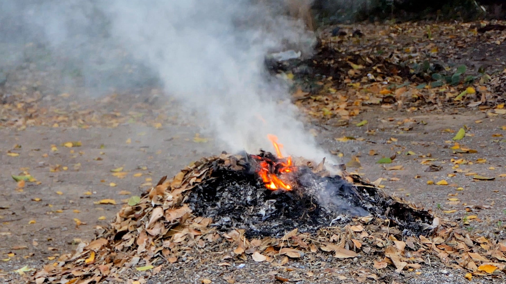 How To Safely Burn Debris In Your Backyard
