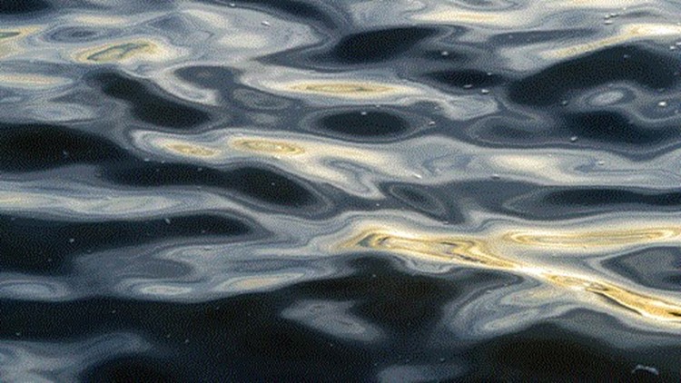 Champlin man drowns trying to save his dog while hunting in North Dakota