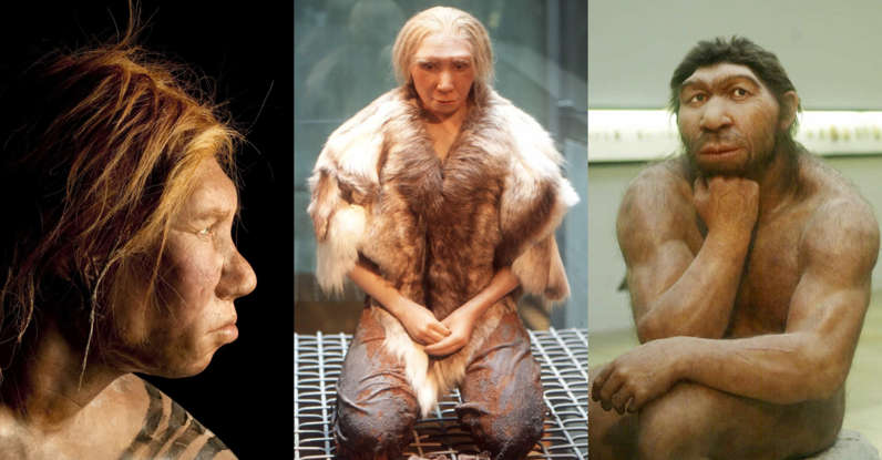 Extinct human species: how different were they from us? Extinct human species: how different were they from us?
