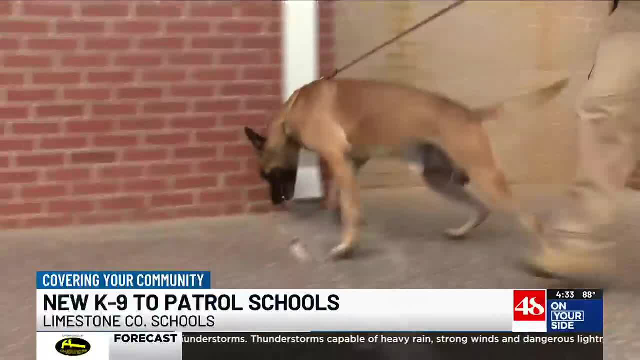 Limestone County Sheriff’s Office welcomes new K9 partner Limestone County Sheriff’s Office welcomes new K9 partner