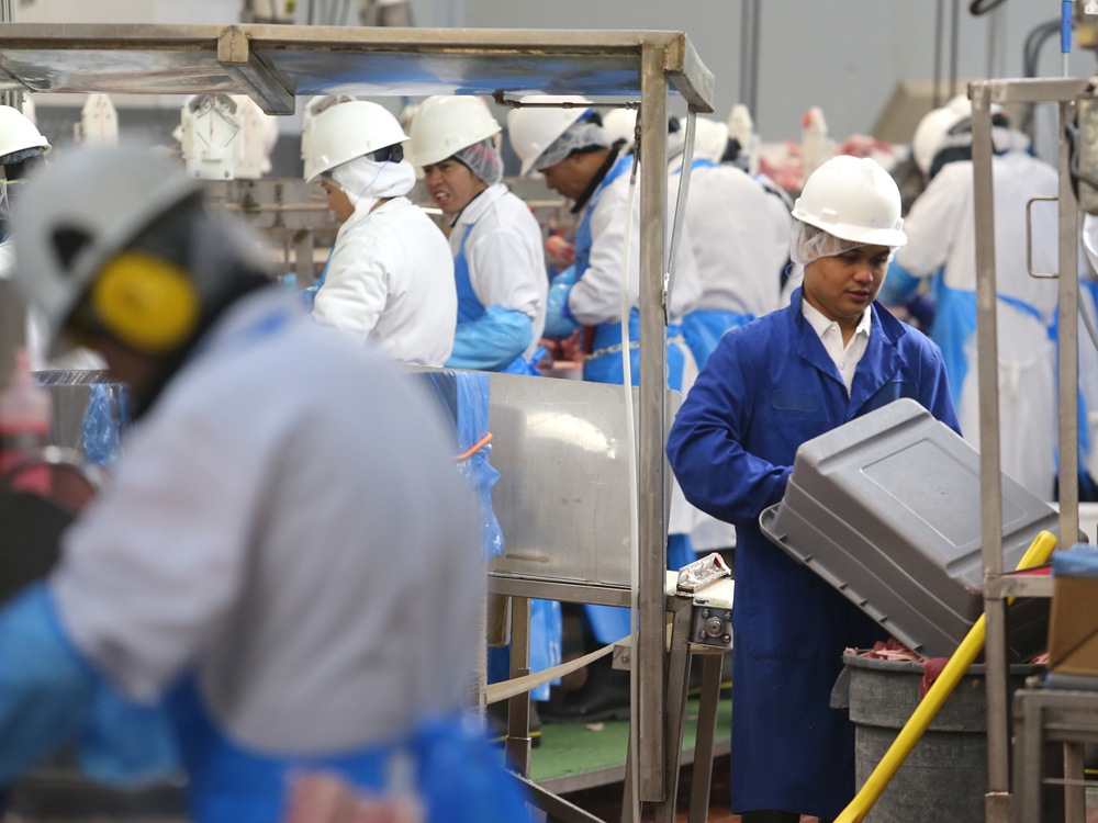 'Temporary' workers account for 19% of Canada's private-sector workforce