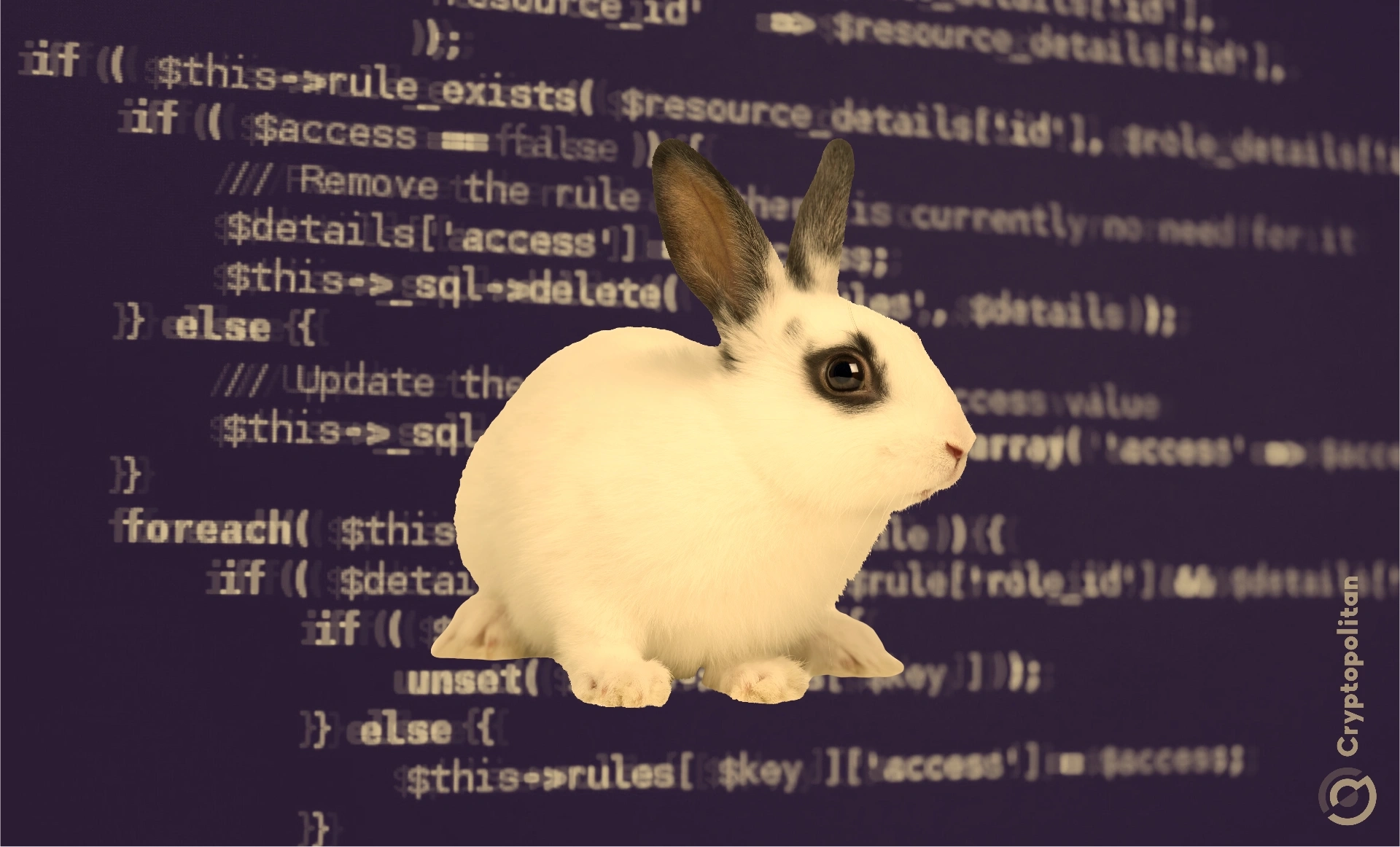CodeRabbit’s AI-driven code review tool gets $16M funding injection CodeRabbit’s AI-driven code review tool gets $16M funding injection