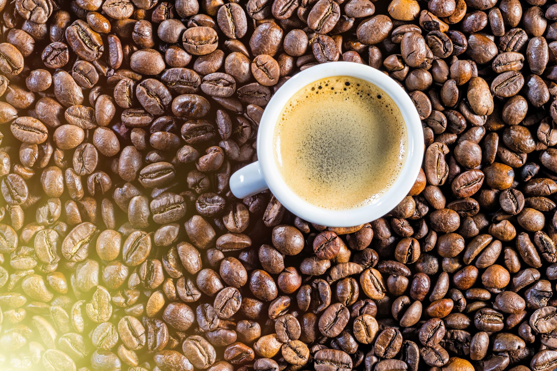 See where the best coffee beans come from