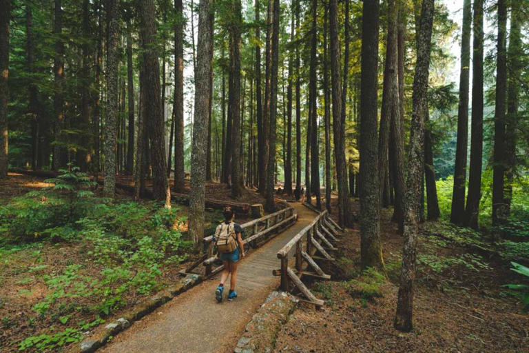 11 Worth It Hikes in Eugene, Oregon