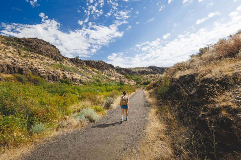 Cowiche Canyon Trails: Best Trail System in Yakima!