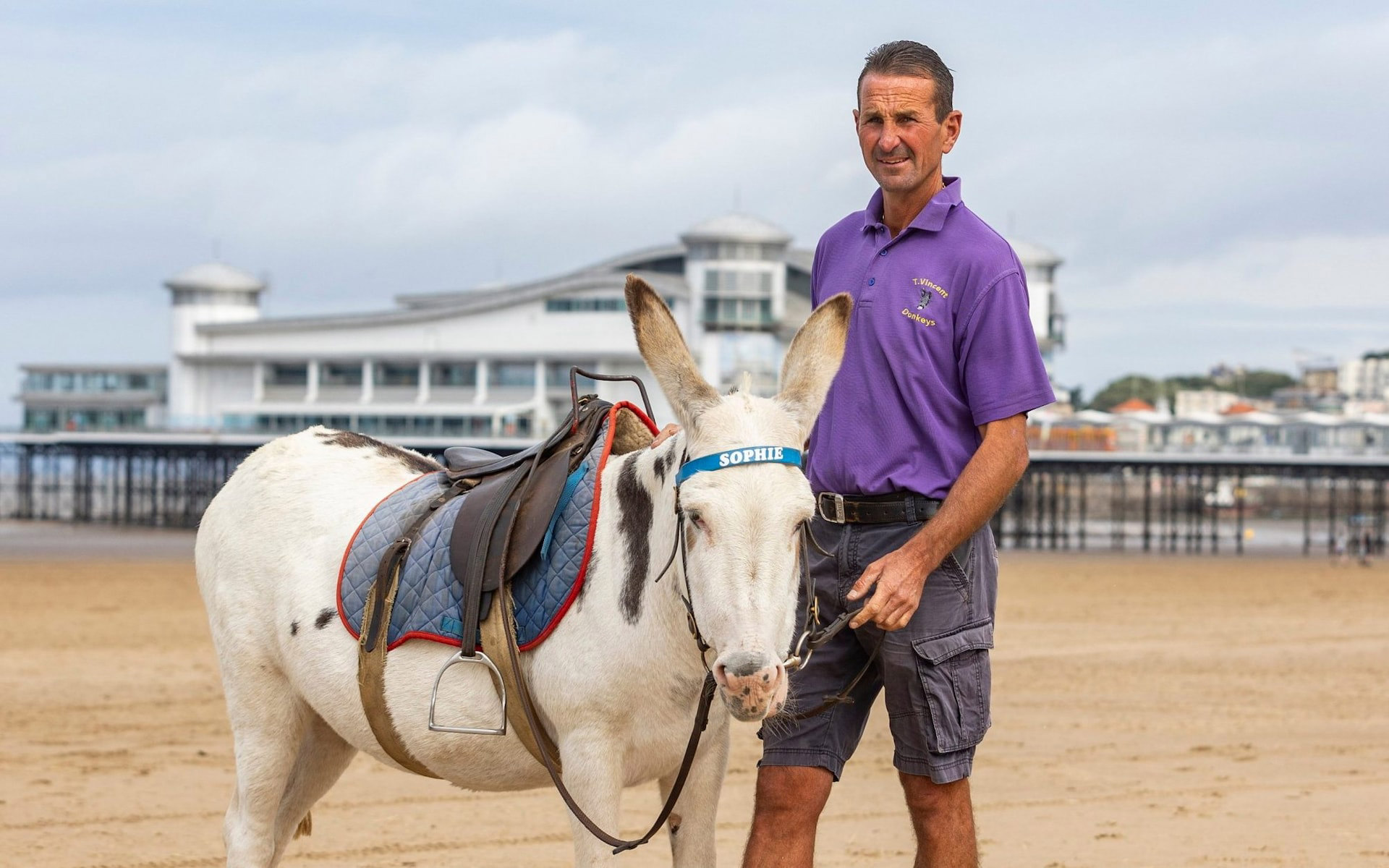 Campaigners call for ban of ‘outdated and cruel’ donkey rides Campaigners call for ban of ‘outdated and cruel’ donkey rides