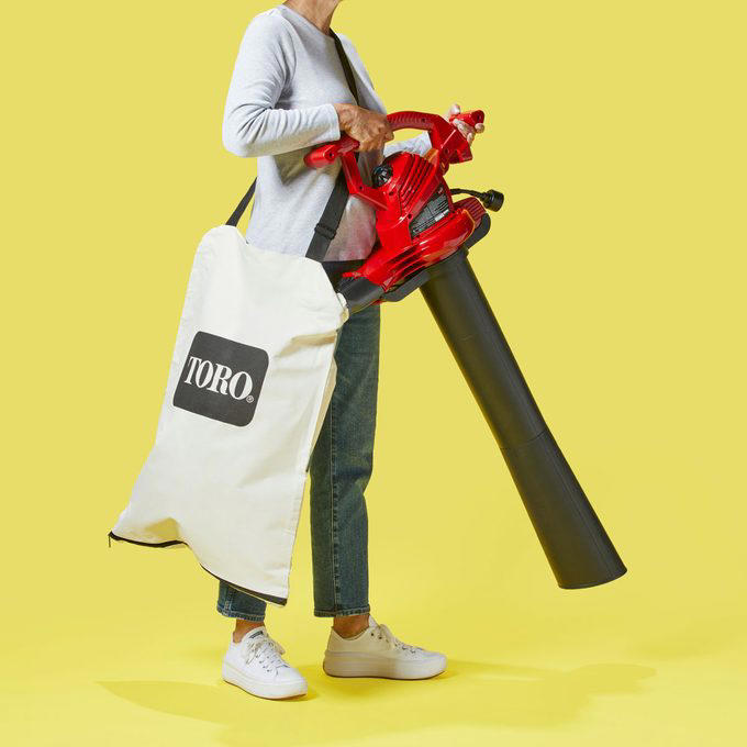 7 Best Leaf Vacuums for Maintaining a Pristine Lawn This Fall, Tested ...