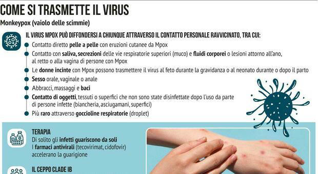 Vaiolo delle scimmie, cos’è il virus mpox: mutazioni e come si diffonde ... Vaiolo delle scimmie, cos’è il virus mpox: mutazioni e come si diffonde ...