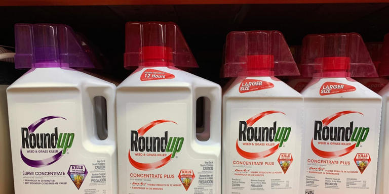 Bayer’s stock surges after U.S. appeals court strikes down Roundup ... Bayer’s stock surges after U.S. appeals court strikes down Roundup ...