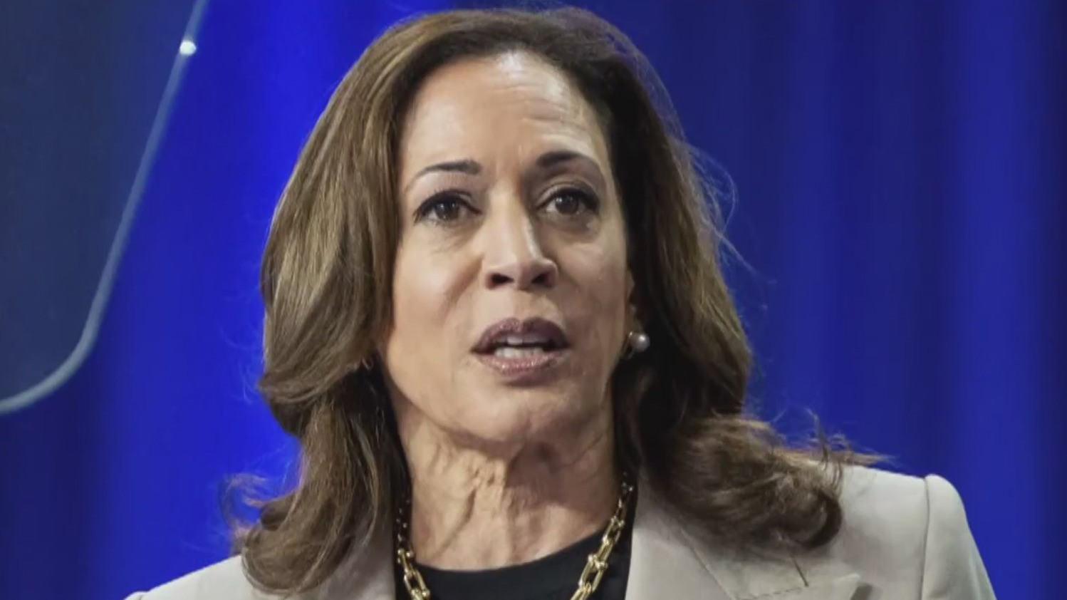 Vice President Kamala Harris lays out economic ideas on campaign trail Vice President Kamala Harris lays out economic ideas on campaign trail