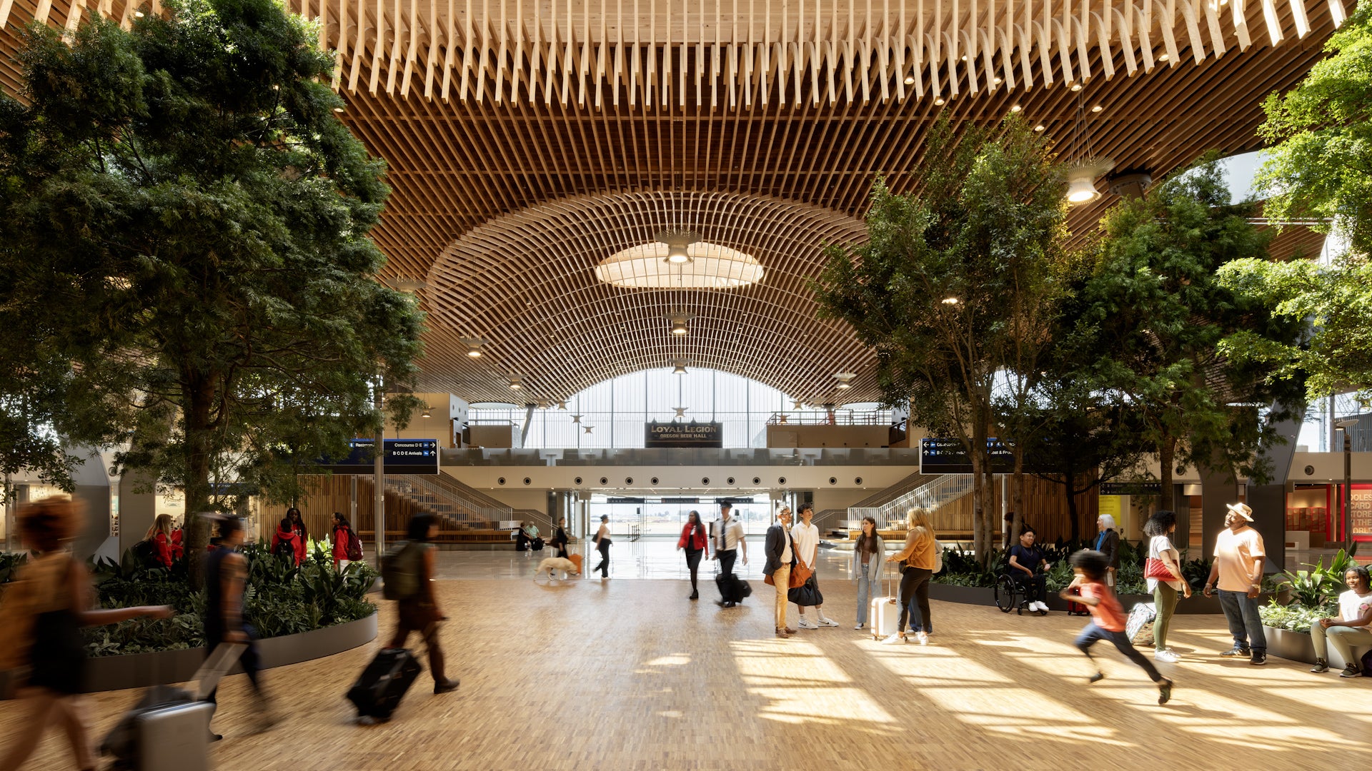 PDX Opens New Terminal, And It’s A Forestlike Wonderland