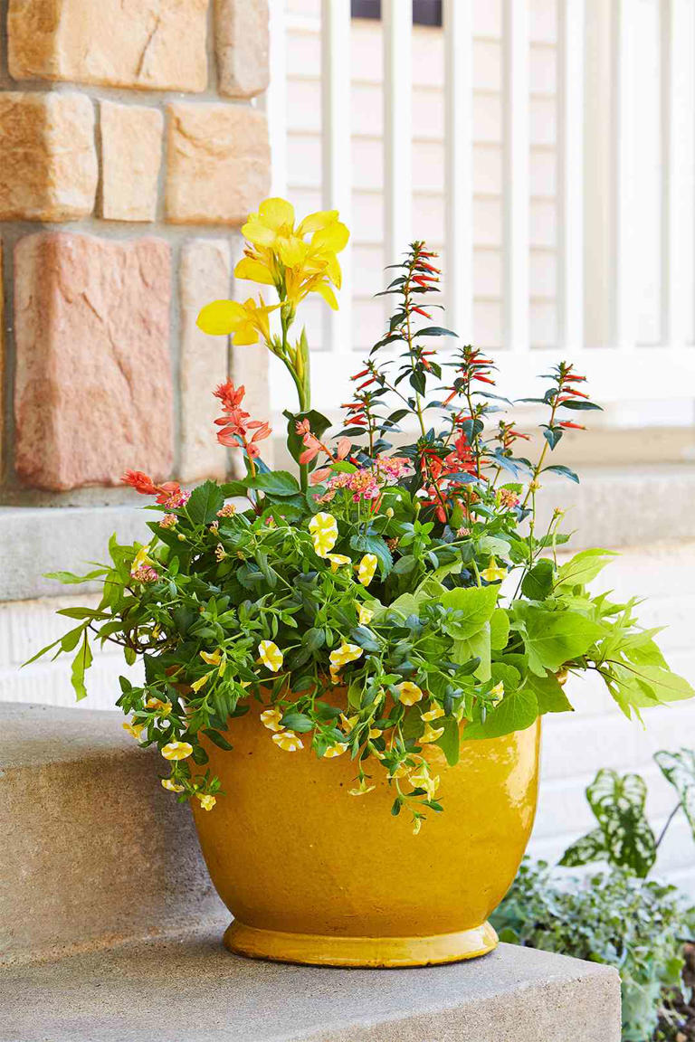 14 best low-maintenance outdoor potted plants for sun or shade