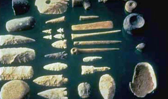 The Bizarre Mystery Of Britain's Last Hunter-Gatherers The Bizarre Mystery Of Britain's Last Hunter-Gatherers