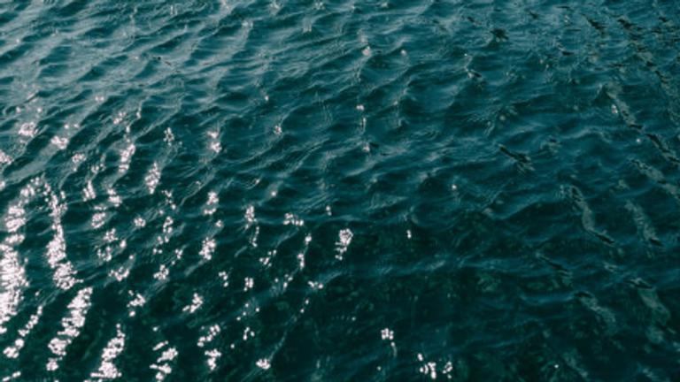 Lake of the Ozarks beaches back open to swimming, two still closed due ...