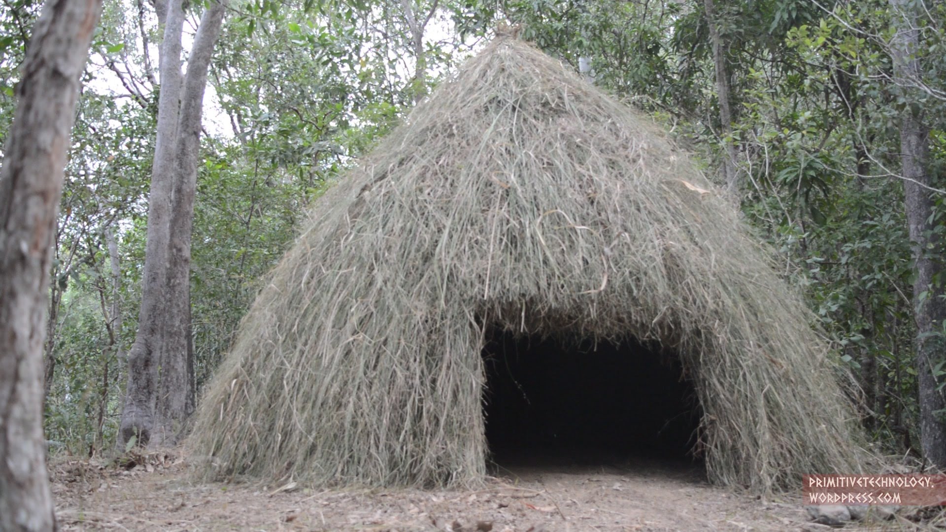 Making a Primitive Grass Hut
