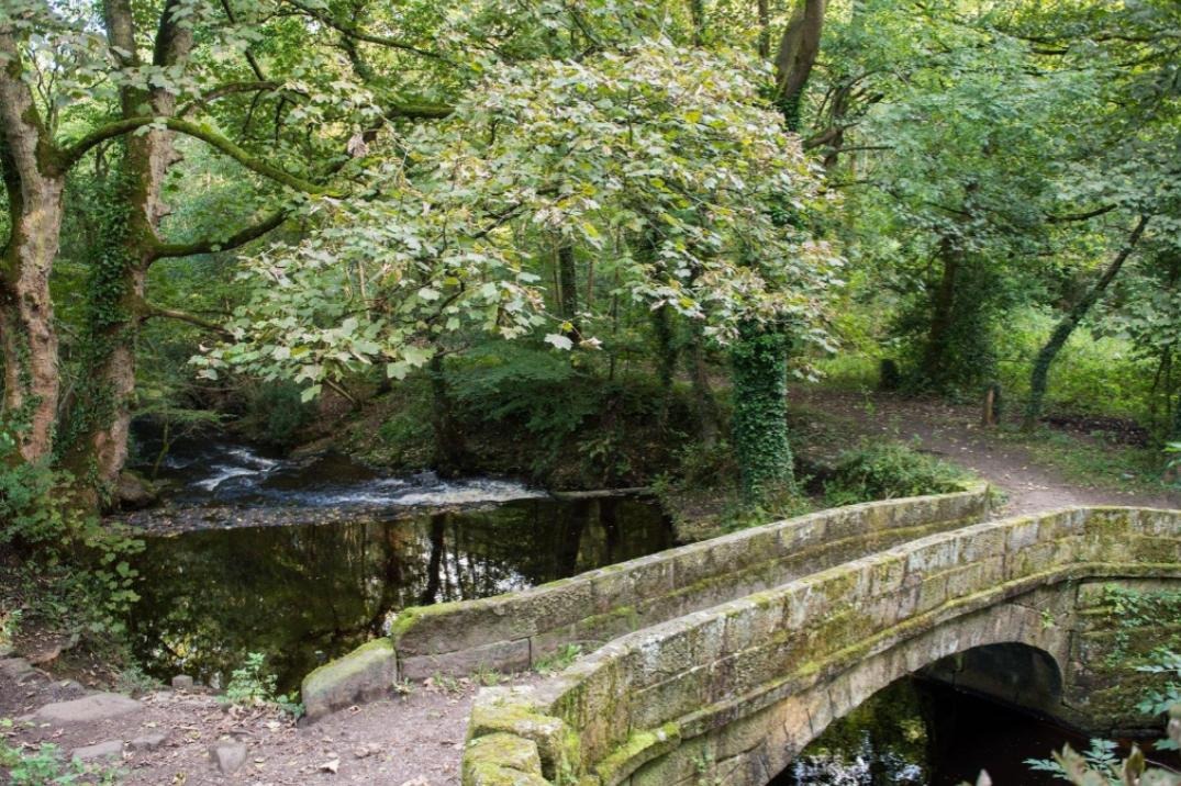 Endcliffe Park flasher: Man in 50s exposes himself in Sheffield park