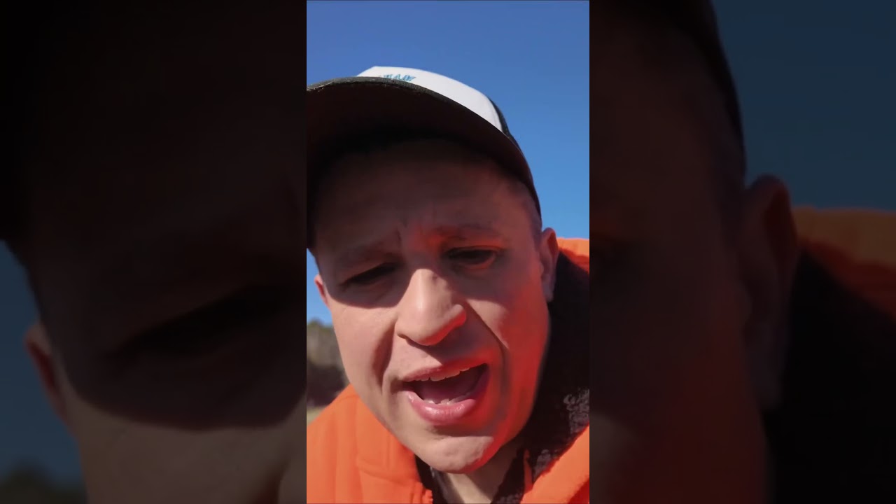 Calf Slips Out Fast: The Wildest Birth I’ve Seen