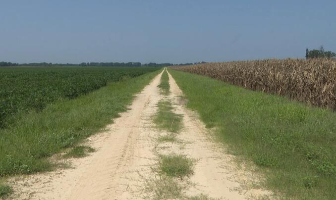 Extreme summer weather devastates some Eastern Carolina crops Extreme summer weather devastates some Eastern Carolina crops
