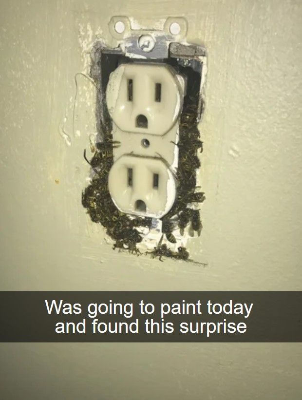 22 Folks Who Totally Failed at Home Improvements