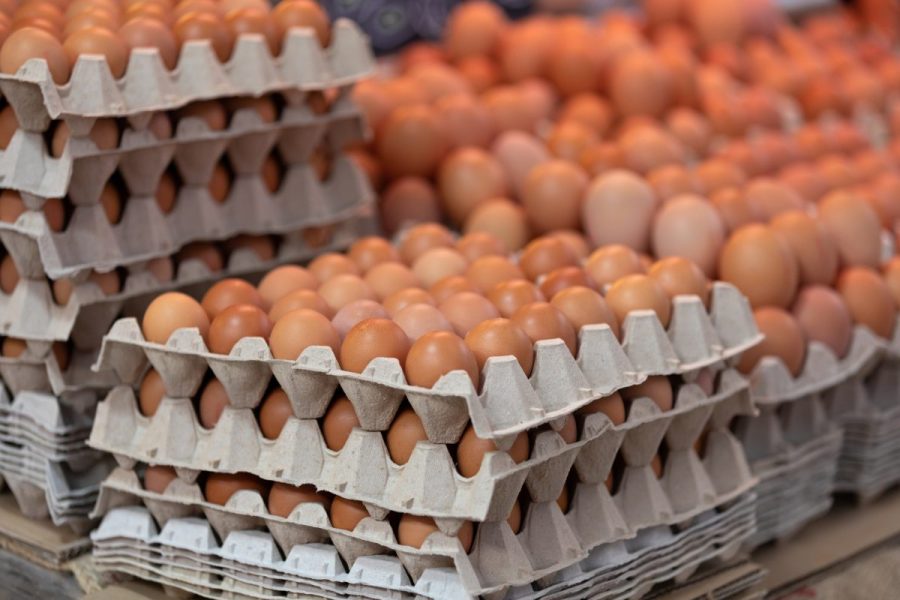Rising egg prices hurting local businesses and farms