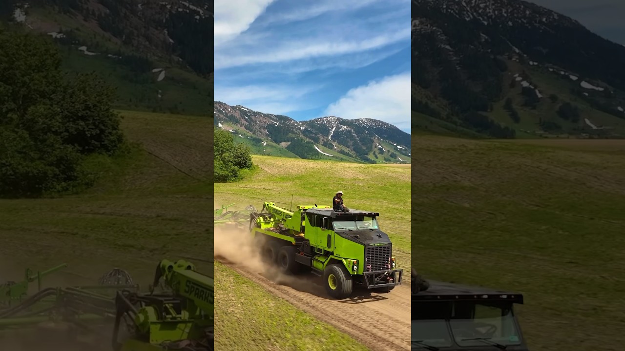 Some Wild Adventures: What Was Your Favorite Moment?