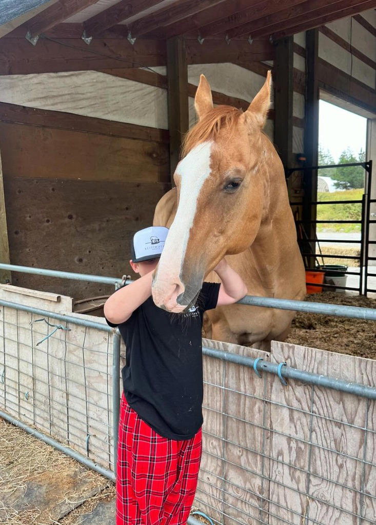 Chris Pratt shares update on 3 kids with Katherine Schwarzenegger after ...