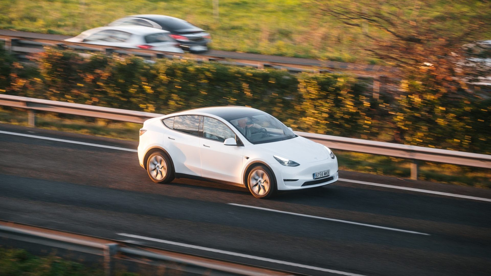 The Estimated Annual Maintenance Cost of 5 Tesla Models