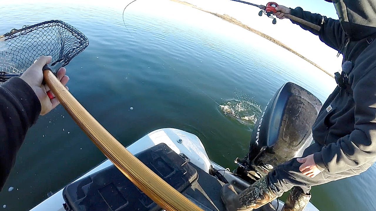 How Rednecks Keep Their Fish Well-Fed with Wild Methods