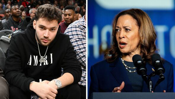 Adin Ross accuses VP Harris of 'paying off' rappers Megan Thee Stallion ... Adin Ross accuses VP Harris of 'paying off' rappers Megan Thee Stallion ...