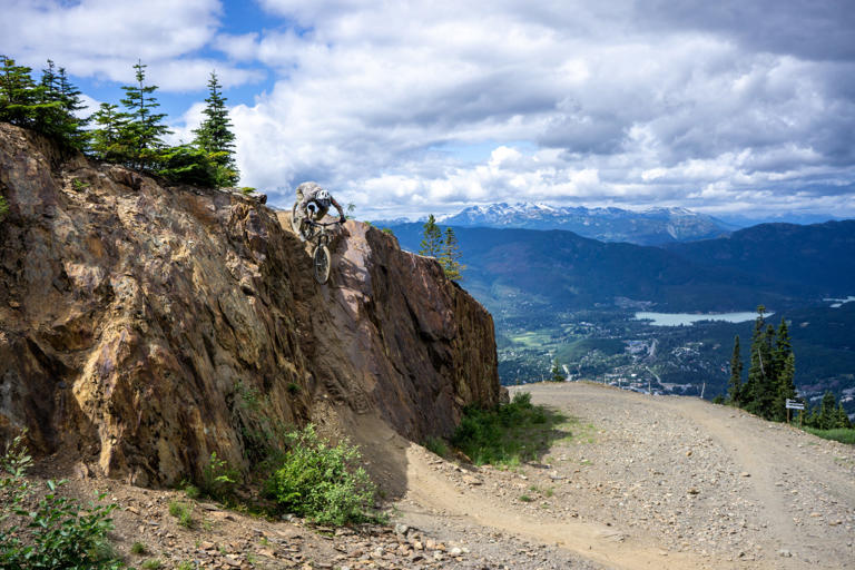 Cougar Encounters Have Led To Temporary Closure of Sections of Whistler ...