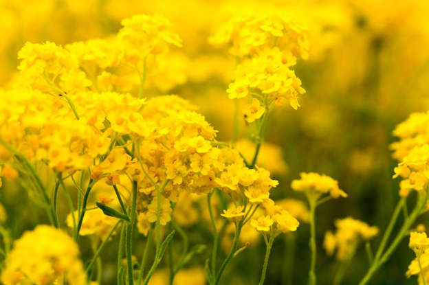 61 tributes, deaths and funeral notices from the Liverpool ECHO this week 61 tributes, deaths and funeral notices from the Liverpool ECHO this week