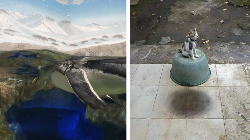 15 Perplexing Optical Illusions And Perspectives That Trick Your Mind