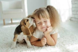 10 reasons dogs snap and 21 ways to stop bad behavior