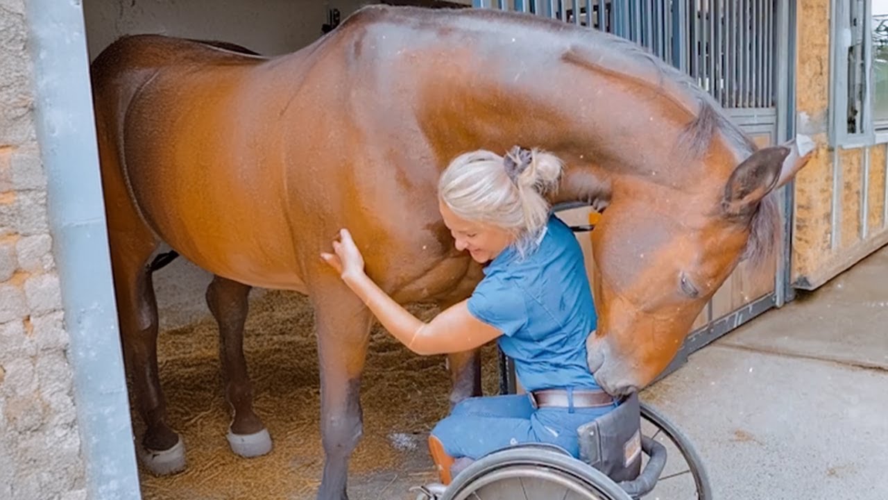 Heartwarming bond between horse and owner