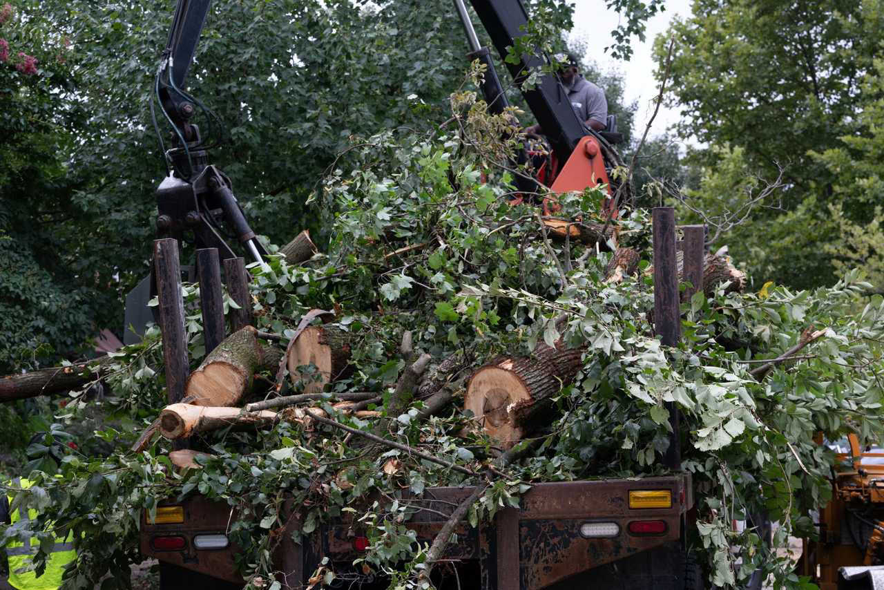 Thousands Still Without Power In Maryland Following Weekend Storms Thousands Still Without Power In Maryland Following Weekend Storms