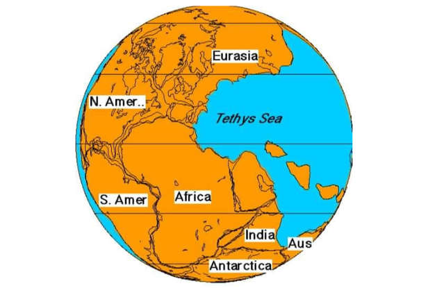 Unraveling the Indian Ocean's Mysterious Gravity Hole Unraveling the Indian Ocean's Mysterious Gravity Hole